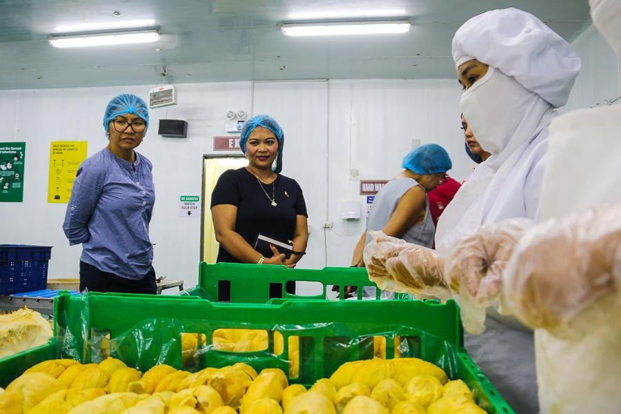 Davao Region to start exporting Durian to China next month