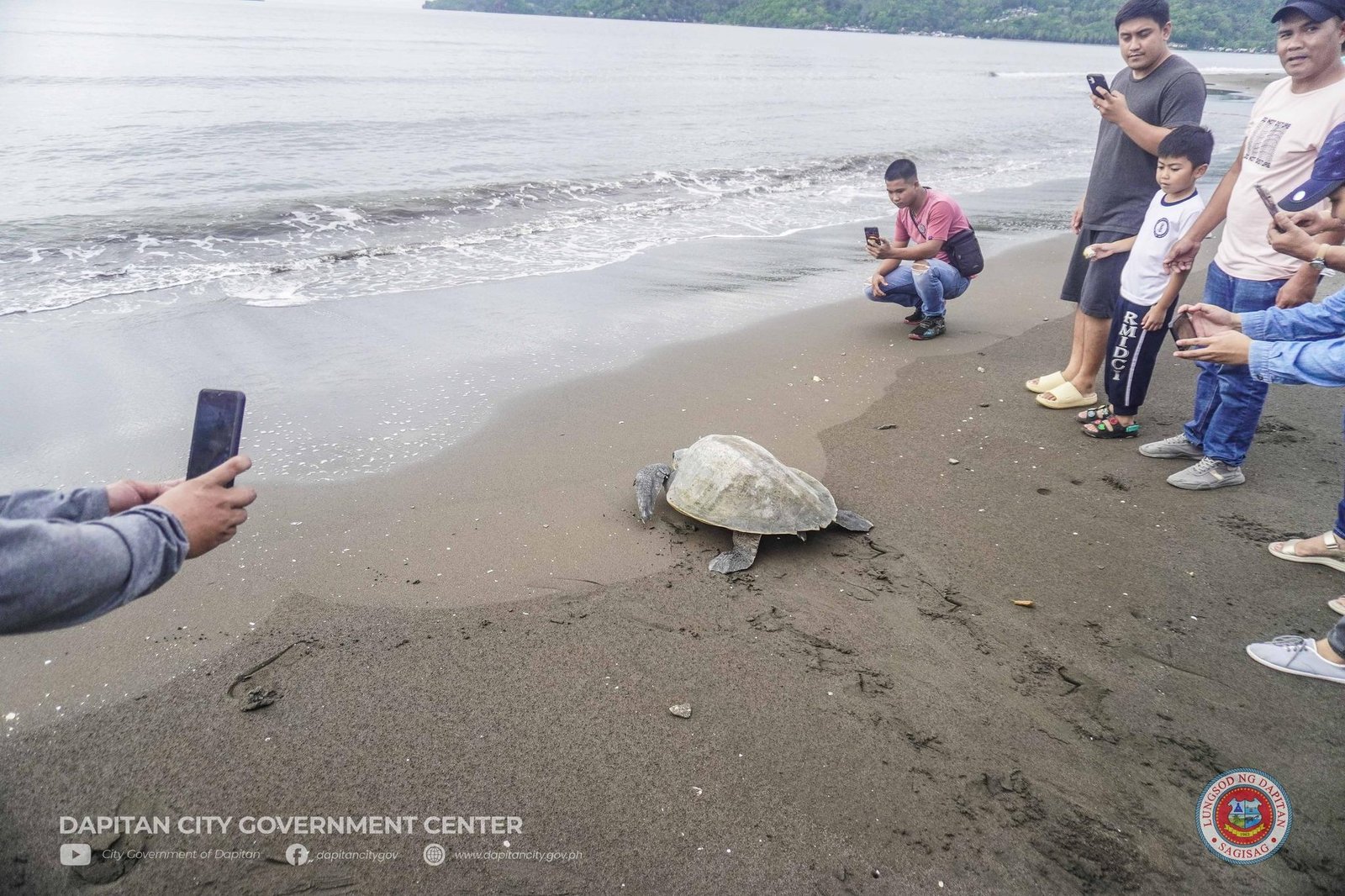 Residents rescue olive ridley sea turtle