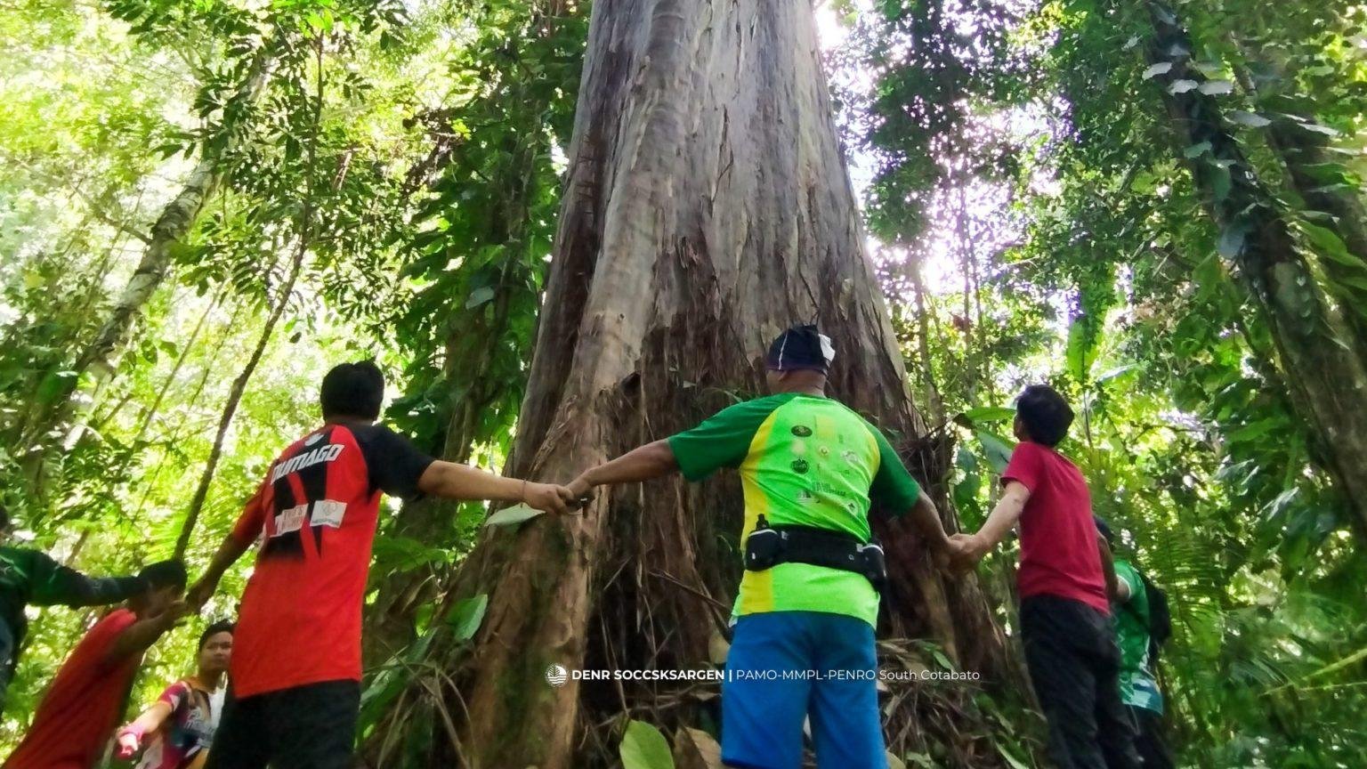 Bagras discovered in South Cotabato to be declared as heritage tree