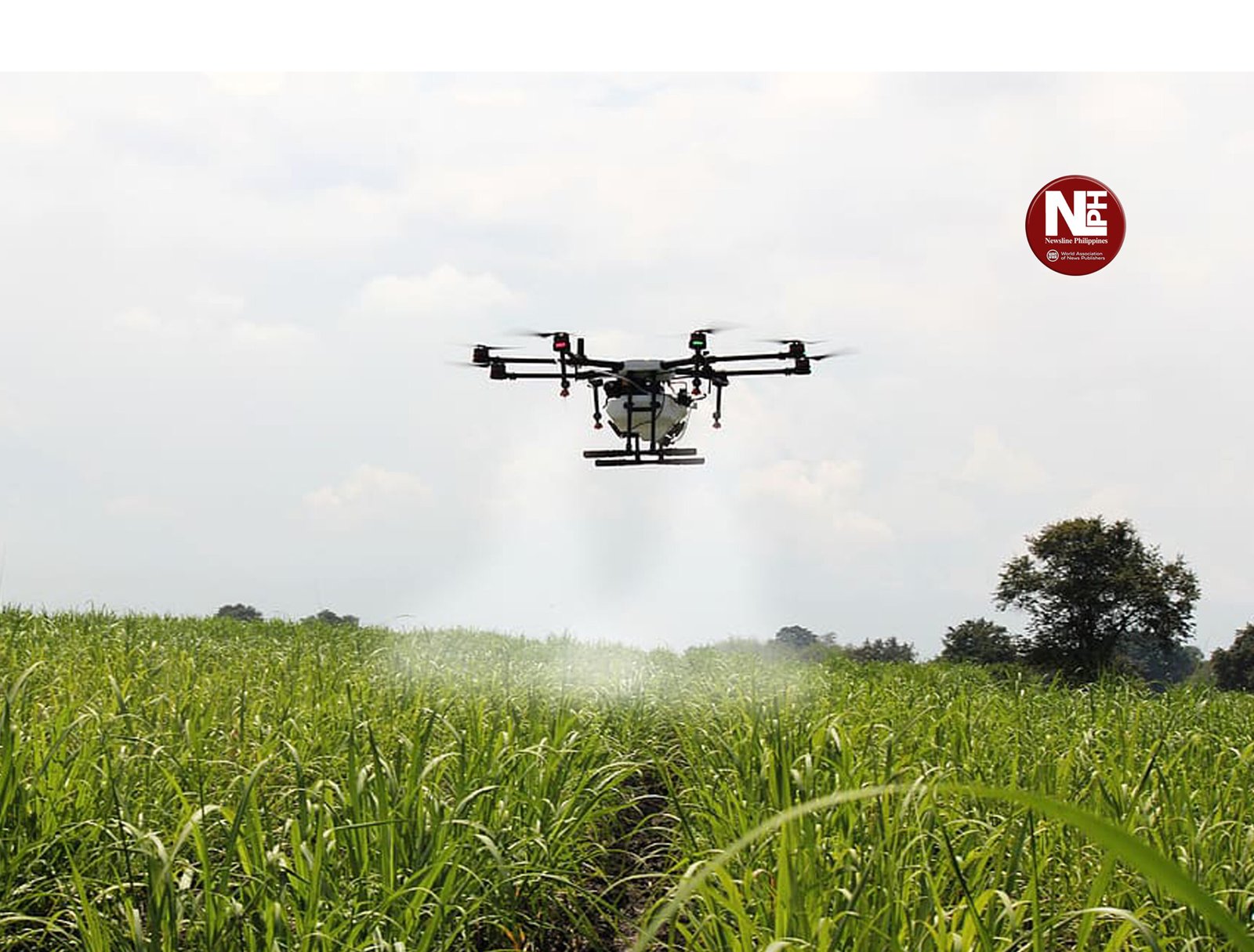 Drone weed control matches traditional spraying in rice farms — PhilRice